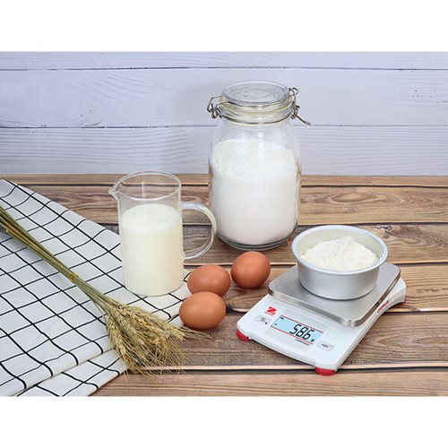 Portable Balance Compass CX Series 5200g x 1g (CX5200) - Australian ...