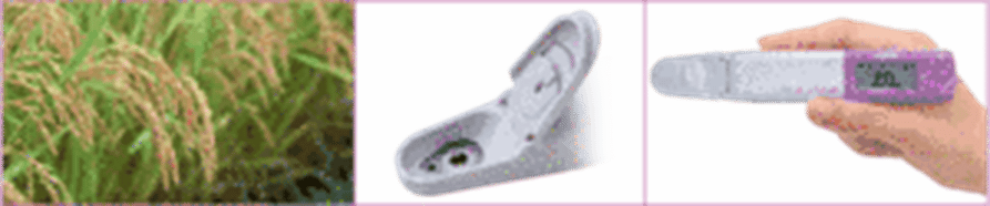 Measurement of Potassium in Rice - Australian Scientific