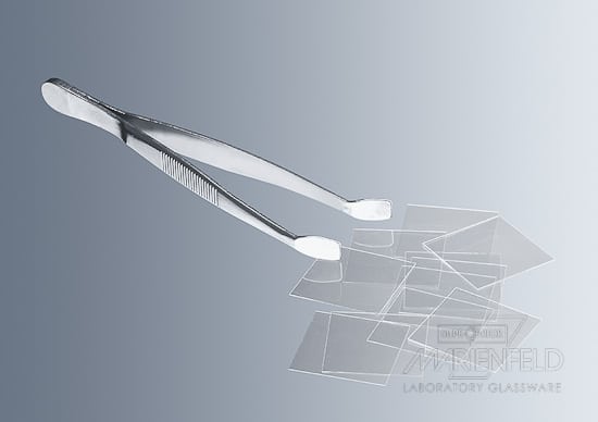 Cover glass forceps according to Kuehne - Australian Scientific