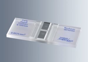 Counting Chambers without CE Mark - Neubauer-Improved - Bright Line ...