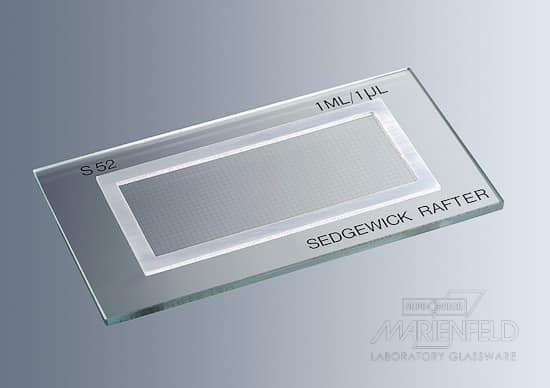 Sedgewick Rafter Counting Chamber, Single Type Made of Plastic ...