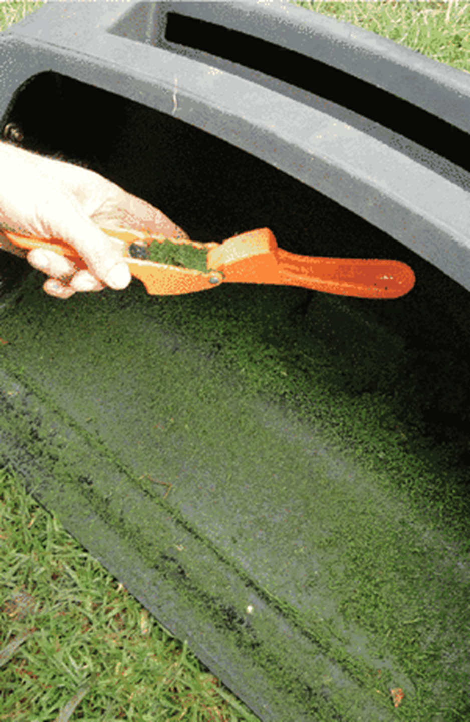 Nitrate Measurement in Turf Grass - Australian Scientific