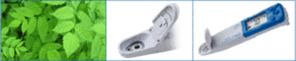 Measurement of pH in Plant Tissue - Australian Scientific